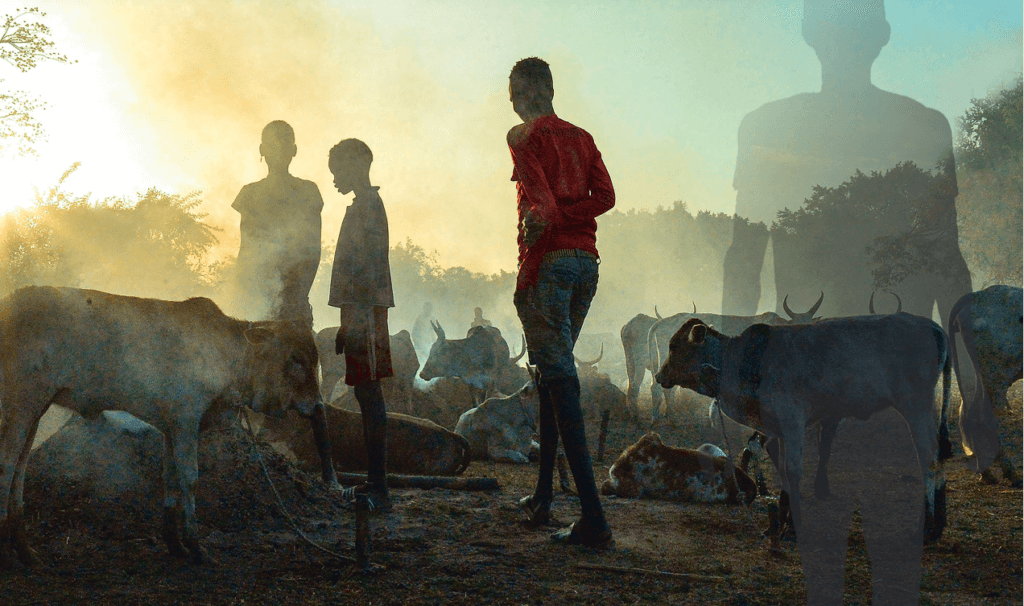 Walk Toward the Rising Sun Book Club Guide